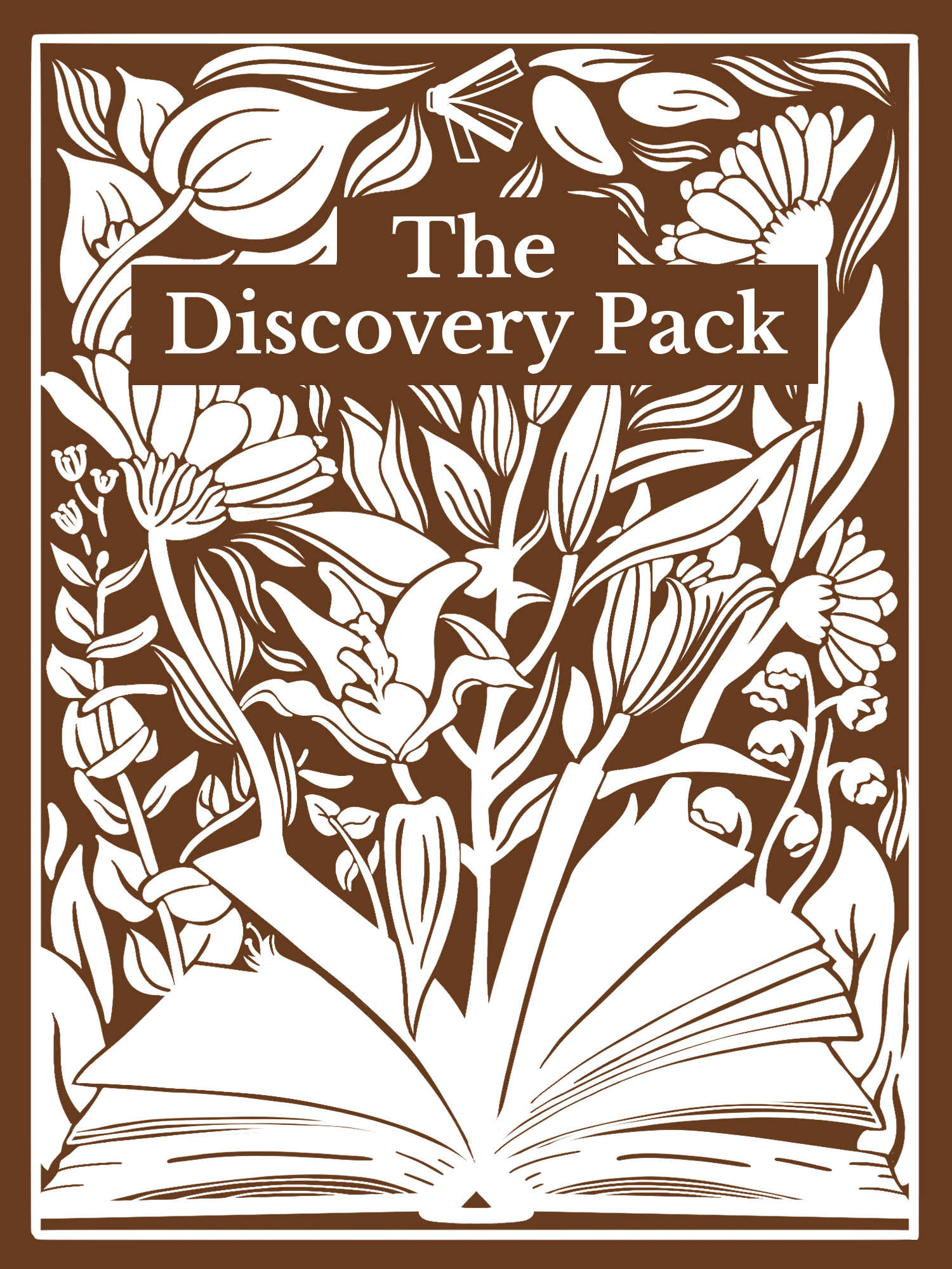 The Discovery Pack – Amplify Bookstore